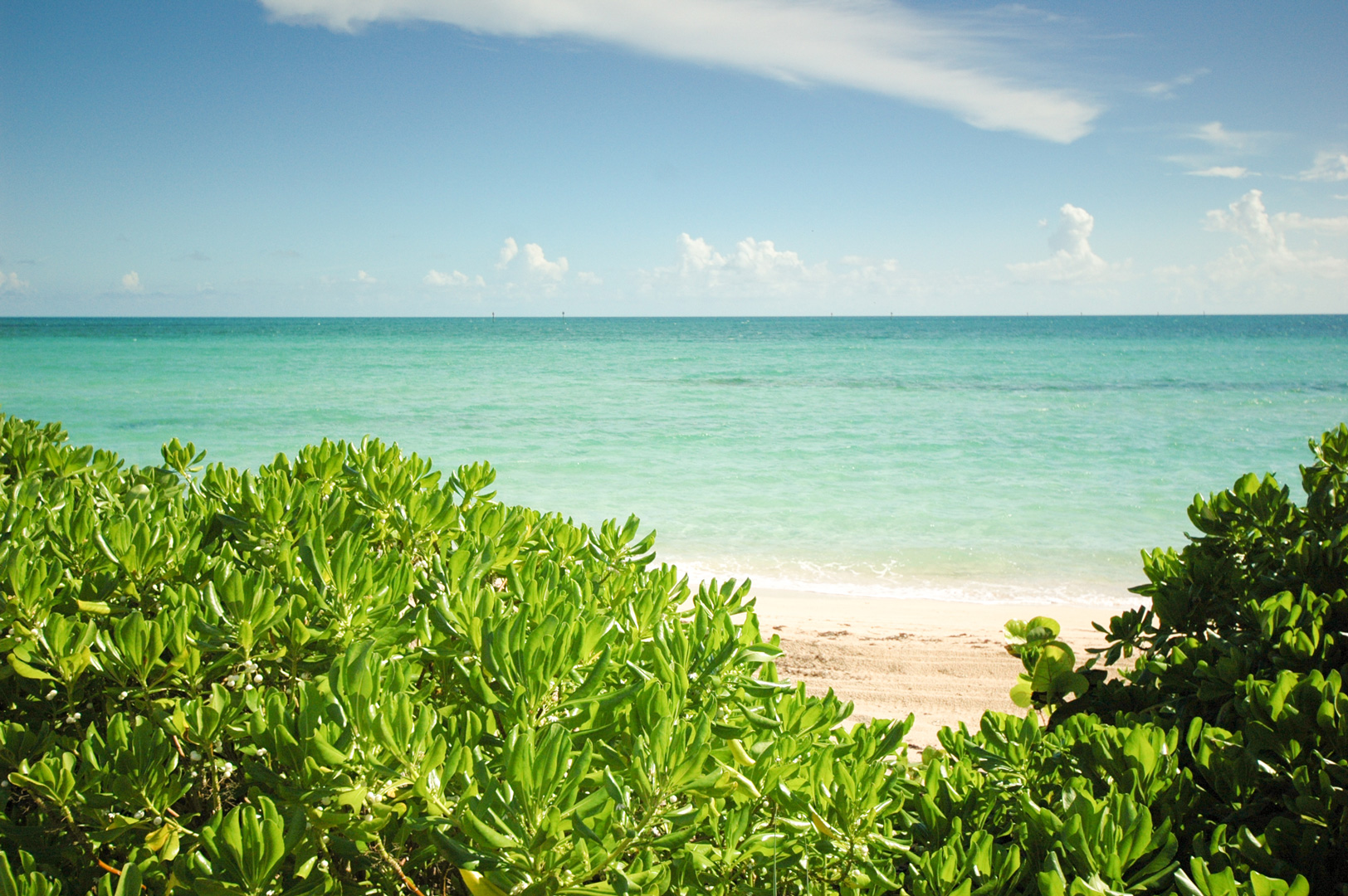 Capstone Homes | Expect Exceptional